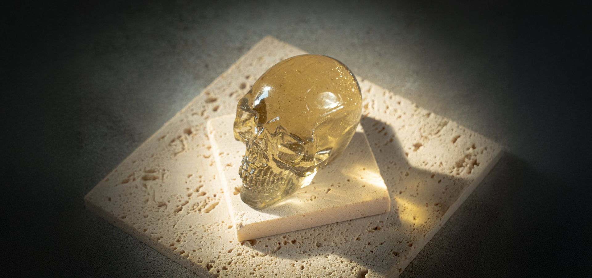 Skulls & Carvings – StoneAge Glastonbury